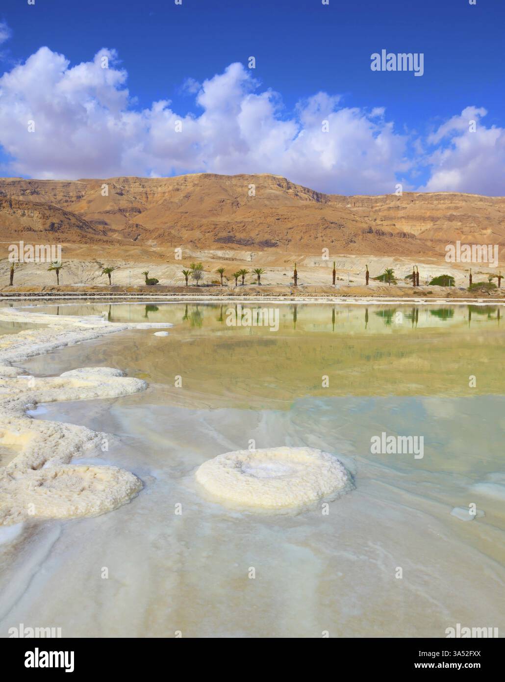 Shores of the Dead Sea in Israel. Path of evaporated salt. Along the ...