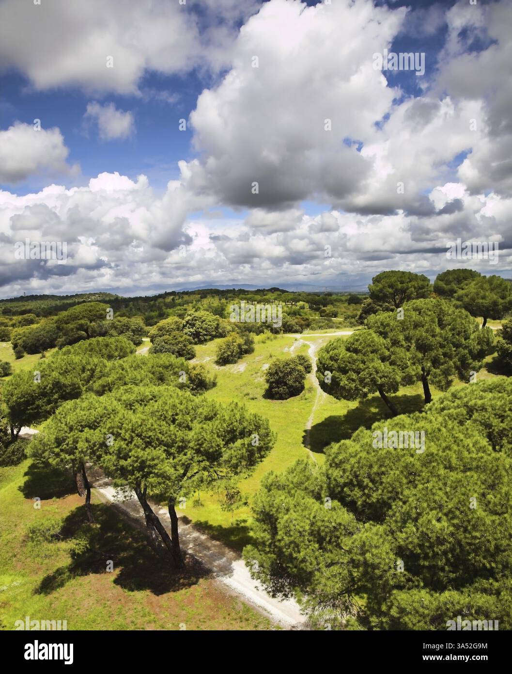 Huge suburban park of Madrid and flying spring the clouds photographed ...