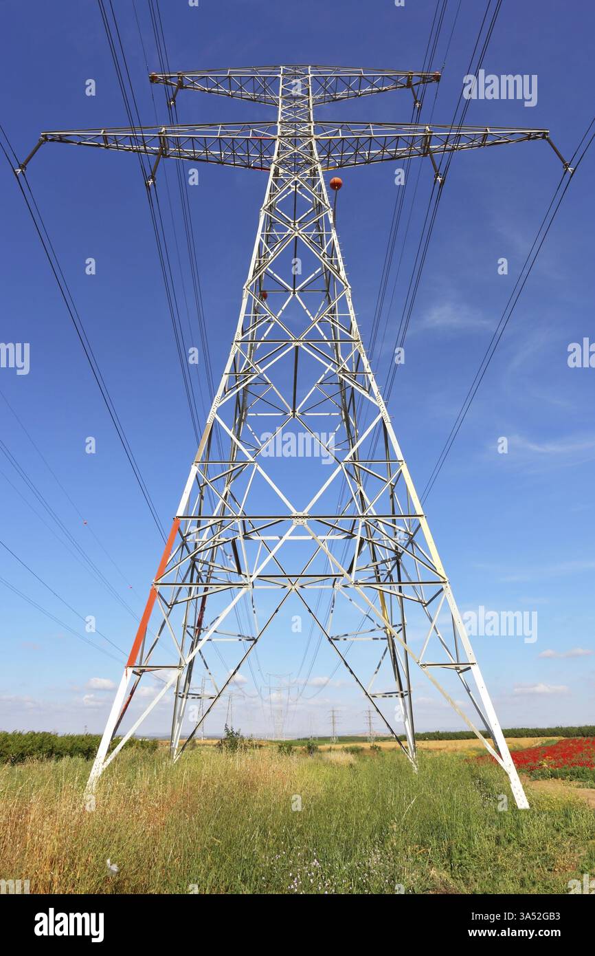 Support high-voltage power lines. Spring flowering fields in Israel ...