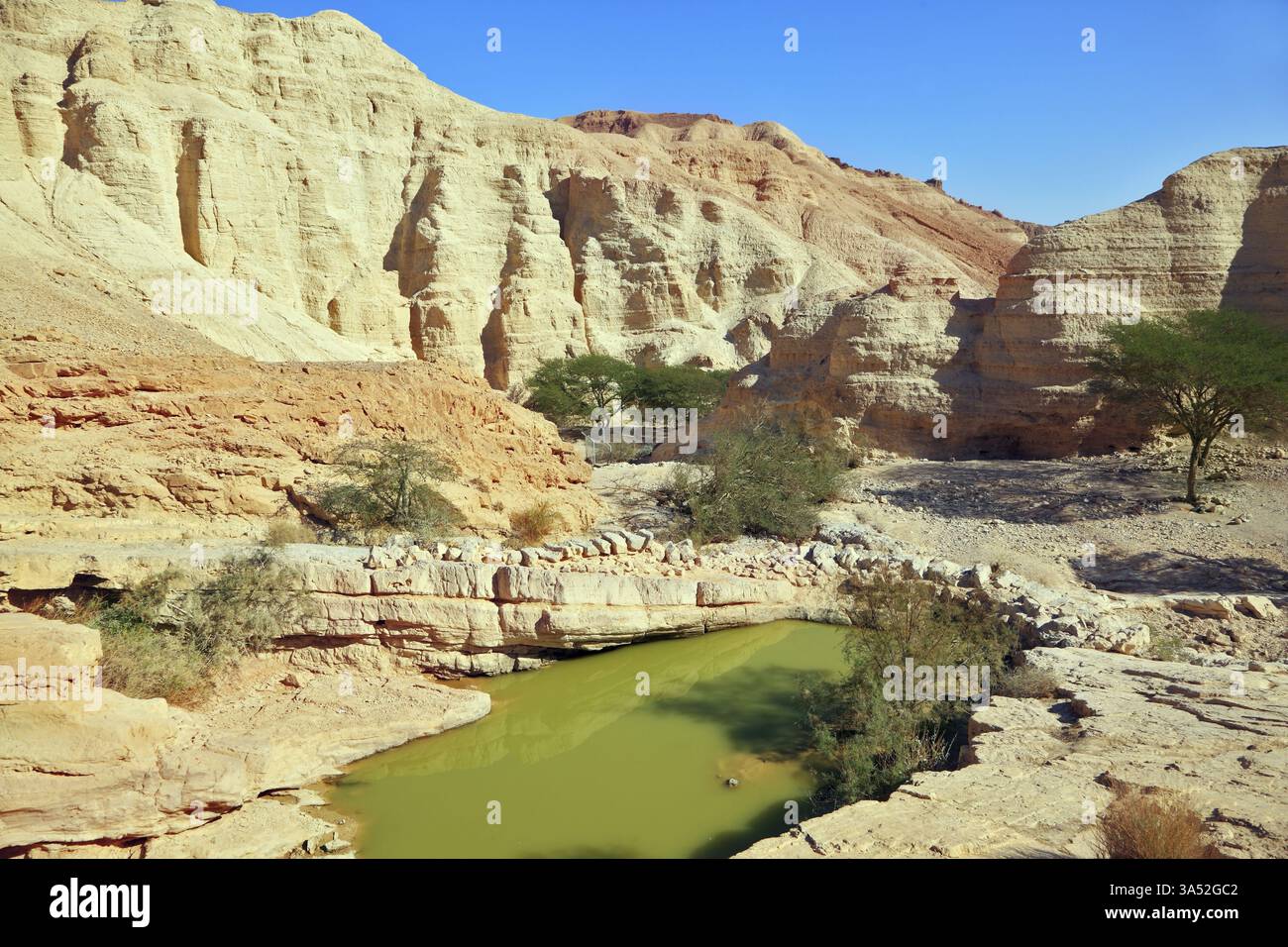 Canyon in ancient mountains at the Dead Sea. A big pool with the ...