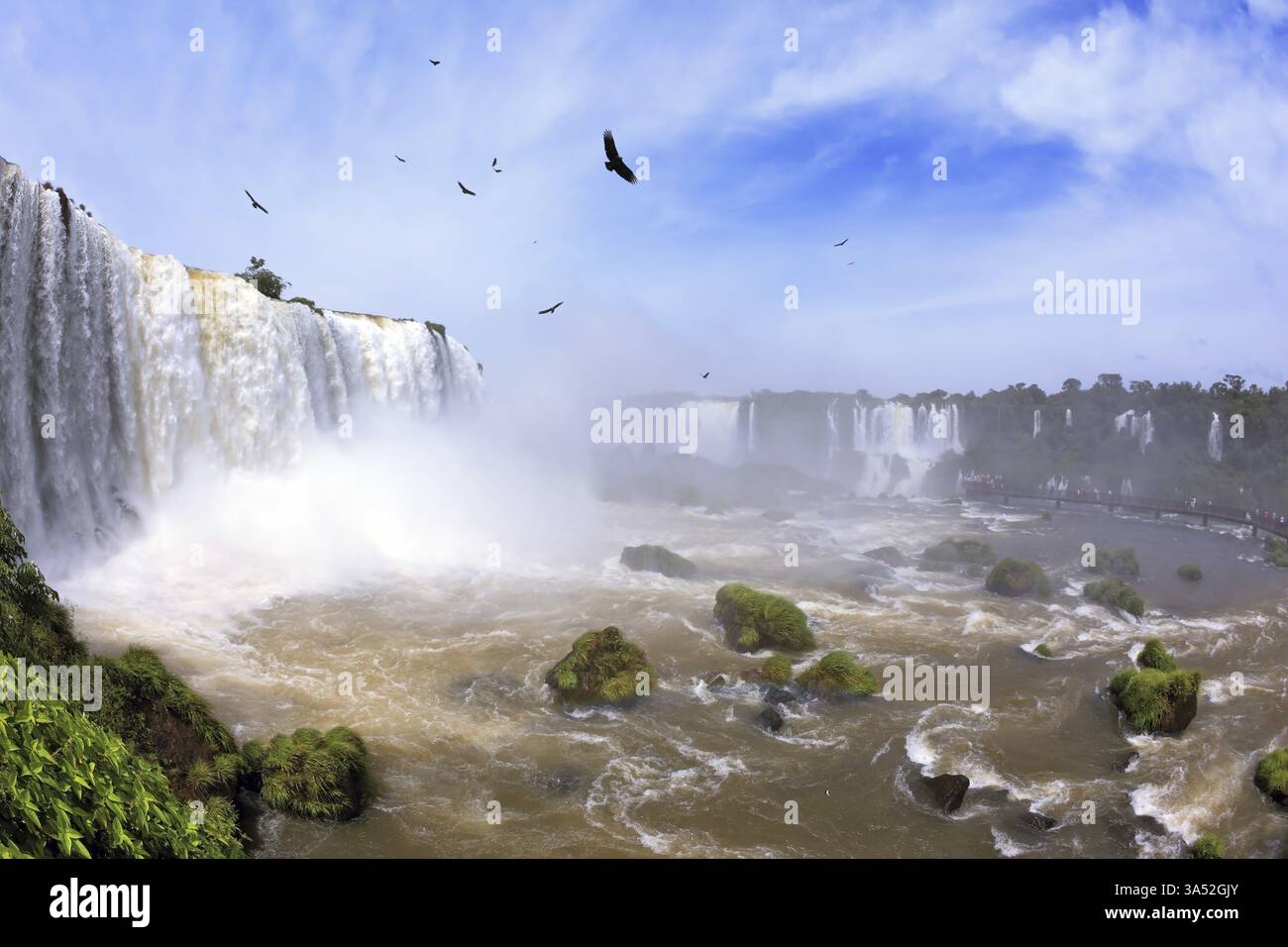 Waterfalls and birds in Brazil. Black Andean condors fly over the foamy ...