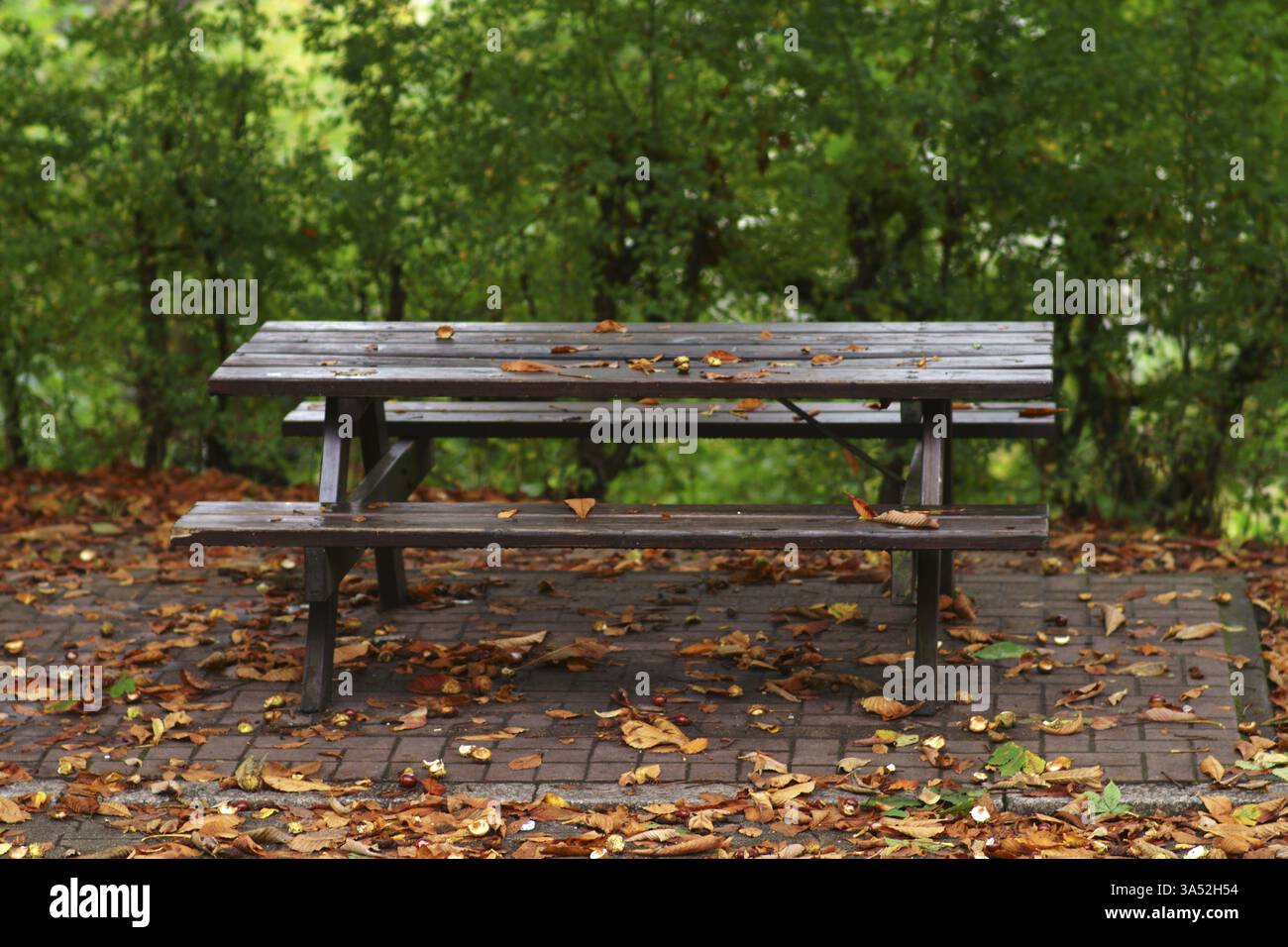 Fall picnic table hi-res stock photography and images - Alamy
