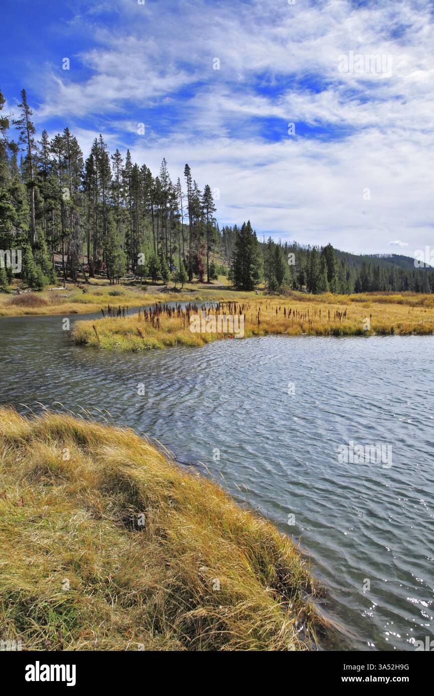 Plain, superficial stream and yellow autumn grass in park Yellowstone ...