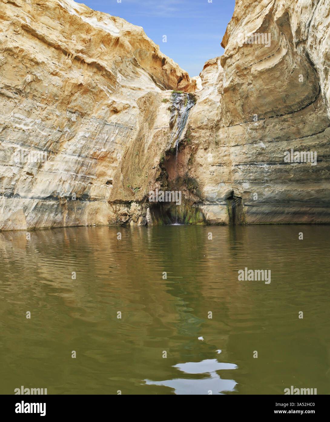 Unique canyon in the desert. Picturesque canyon Ein-Avdat in the Negev ...