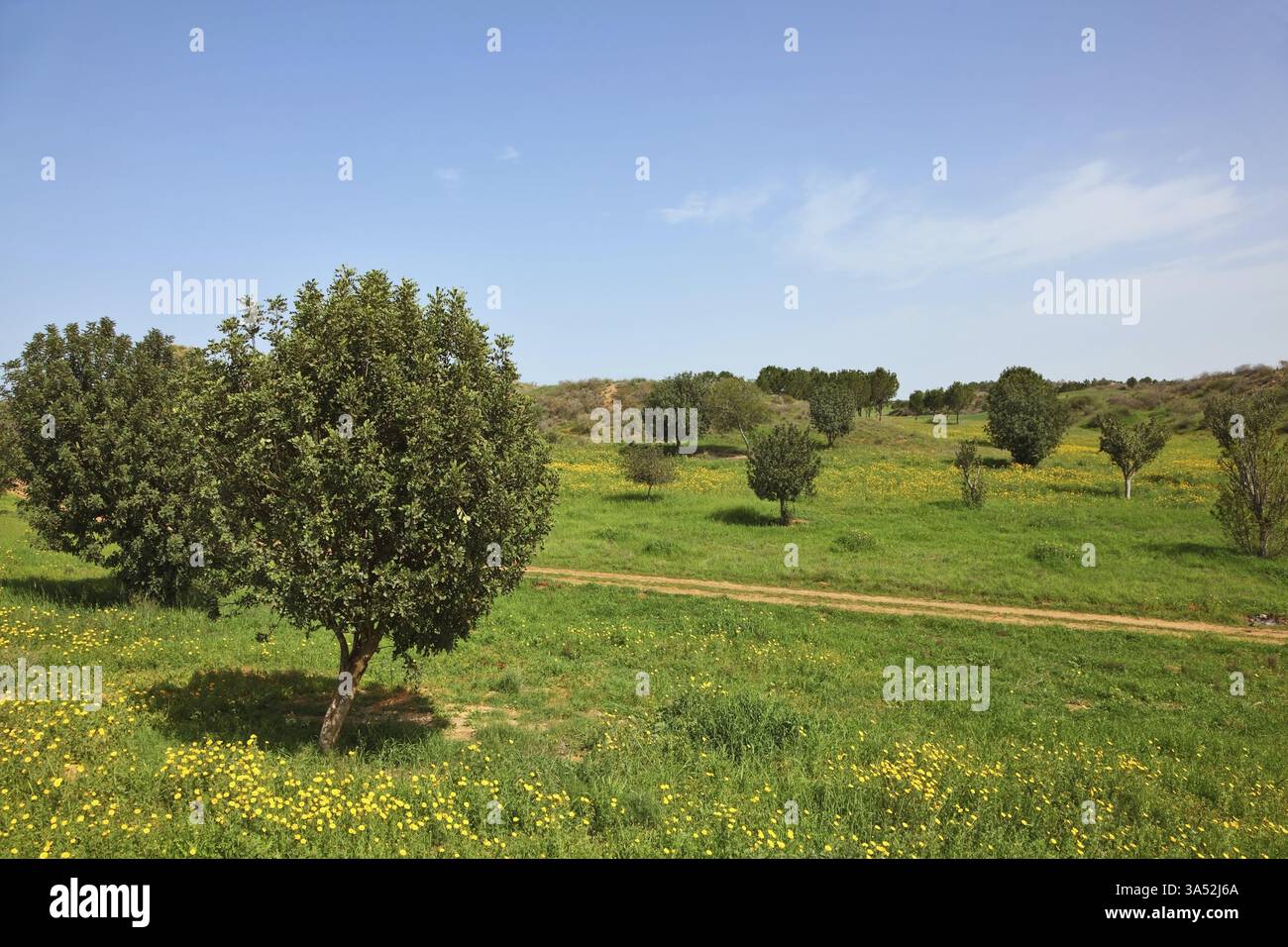The very easy clouds in the high spring sky. The rural footpath crosses ...