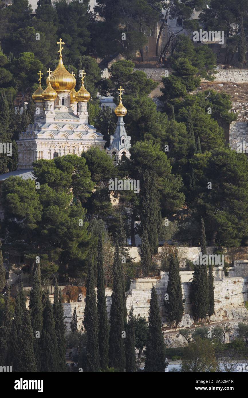Golden domes of the Church of Mary Magdalene and cypresses. Mount of ...