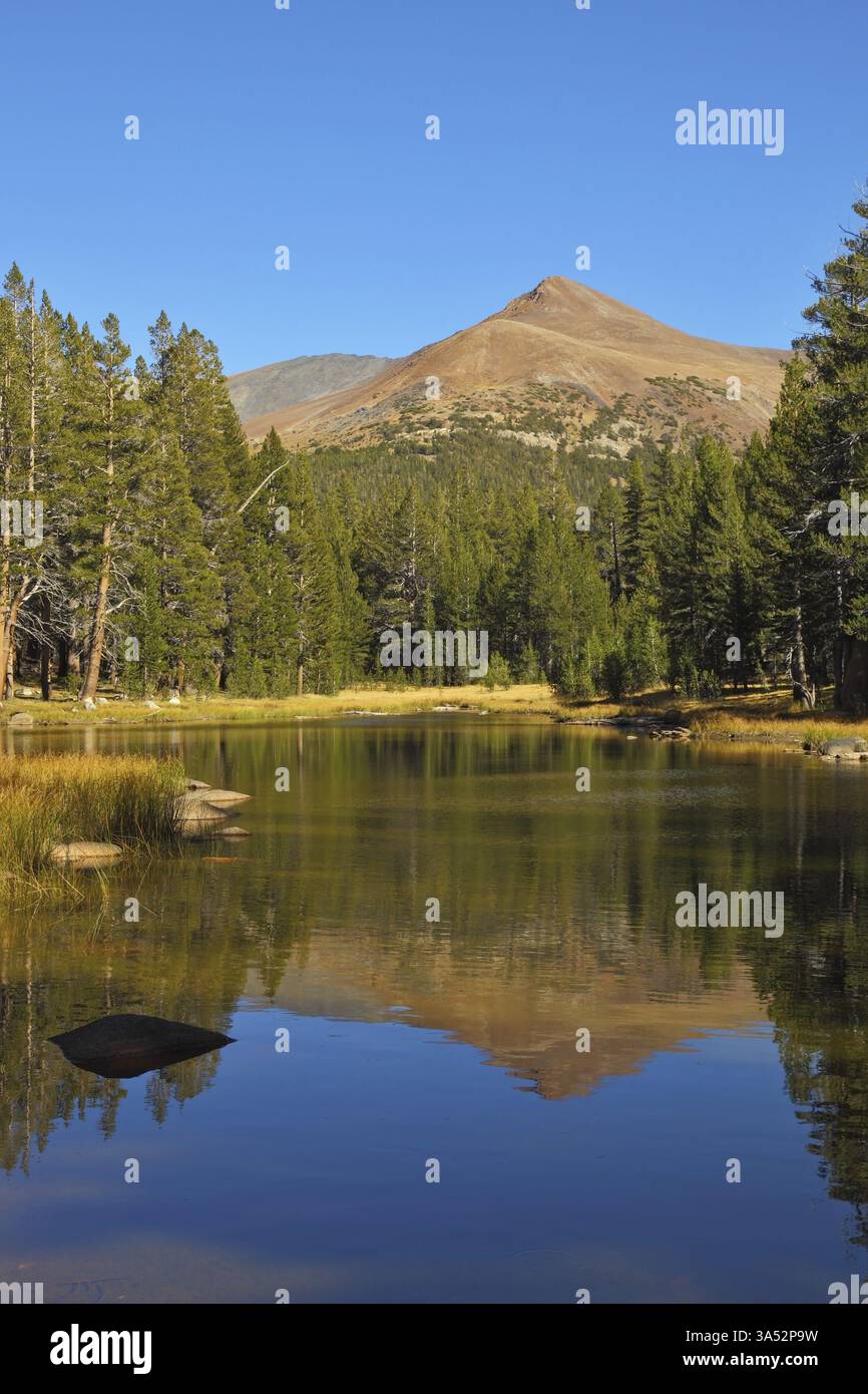 Mirror smooth water reflects hi-res stock photography and images - Alamy