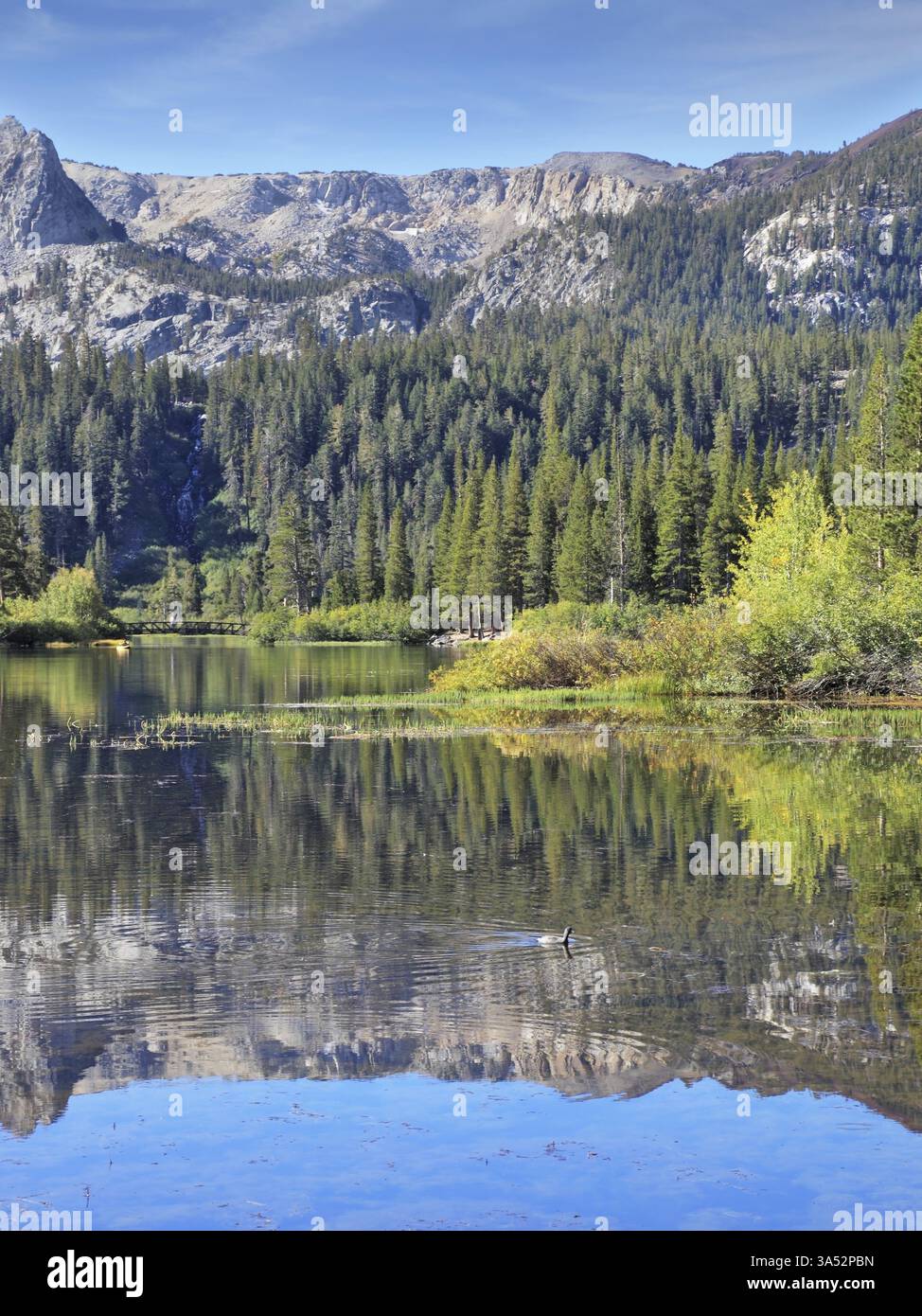 A lovely shallow lake in the mountains of California. In the smooth ...