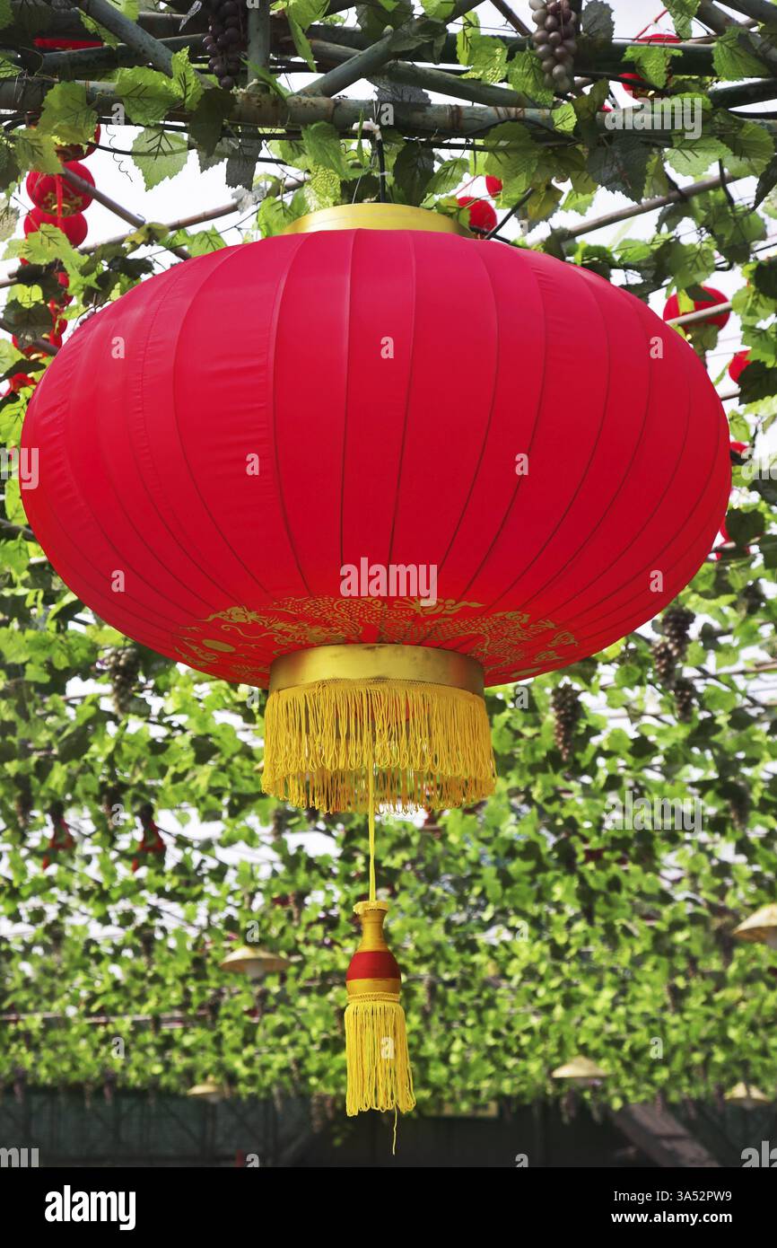 The traditional red lantern, decorating the Chinese park of ...