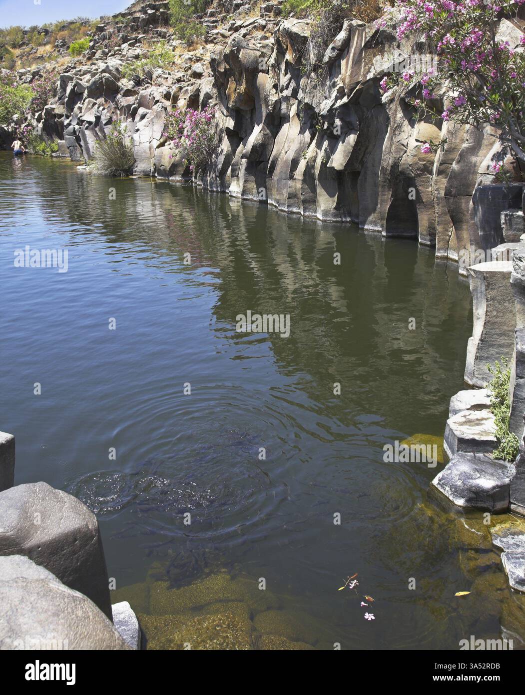 Mountain stream between vertical walls from cut basalt Stock Photo - Alamy