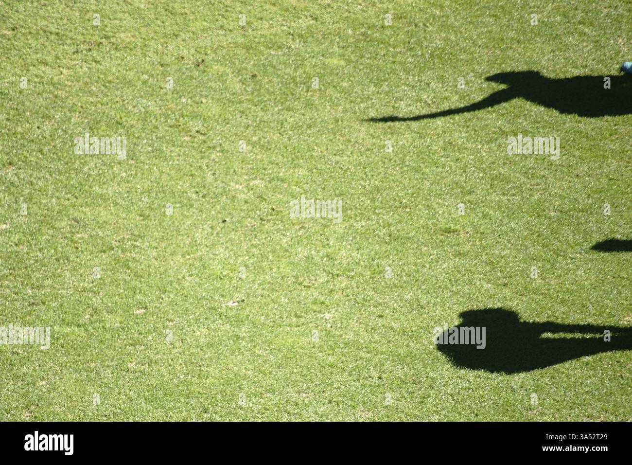 The shadows of football players during warm-up exercises on the green ...
