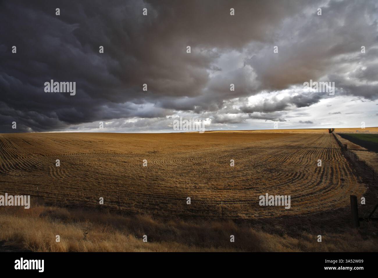The thunder-storm begins. A huge thundercloud above fields of Montana ...