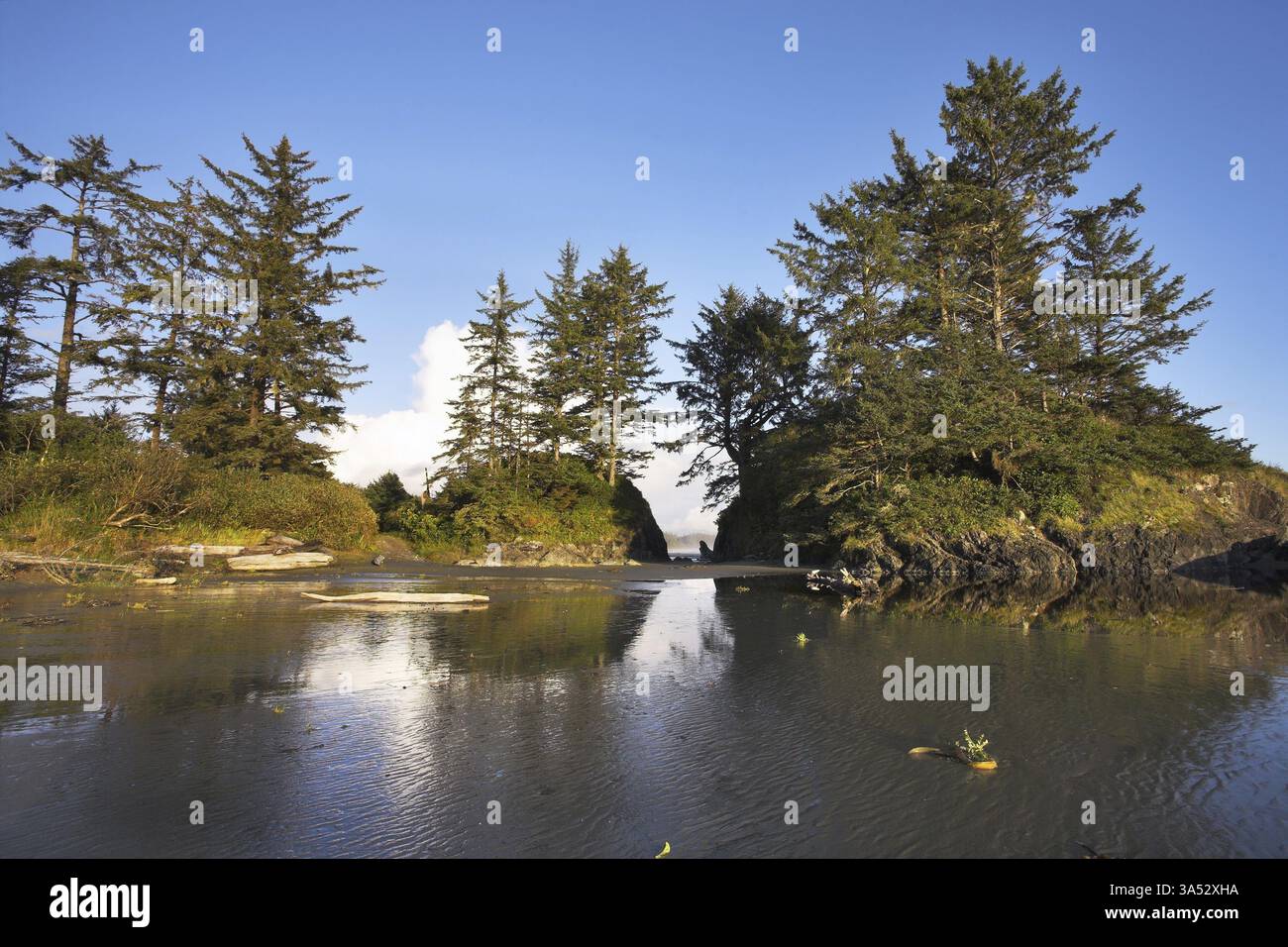 Small islands on the Pacific beach which has been filled in by a tidal ...