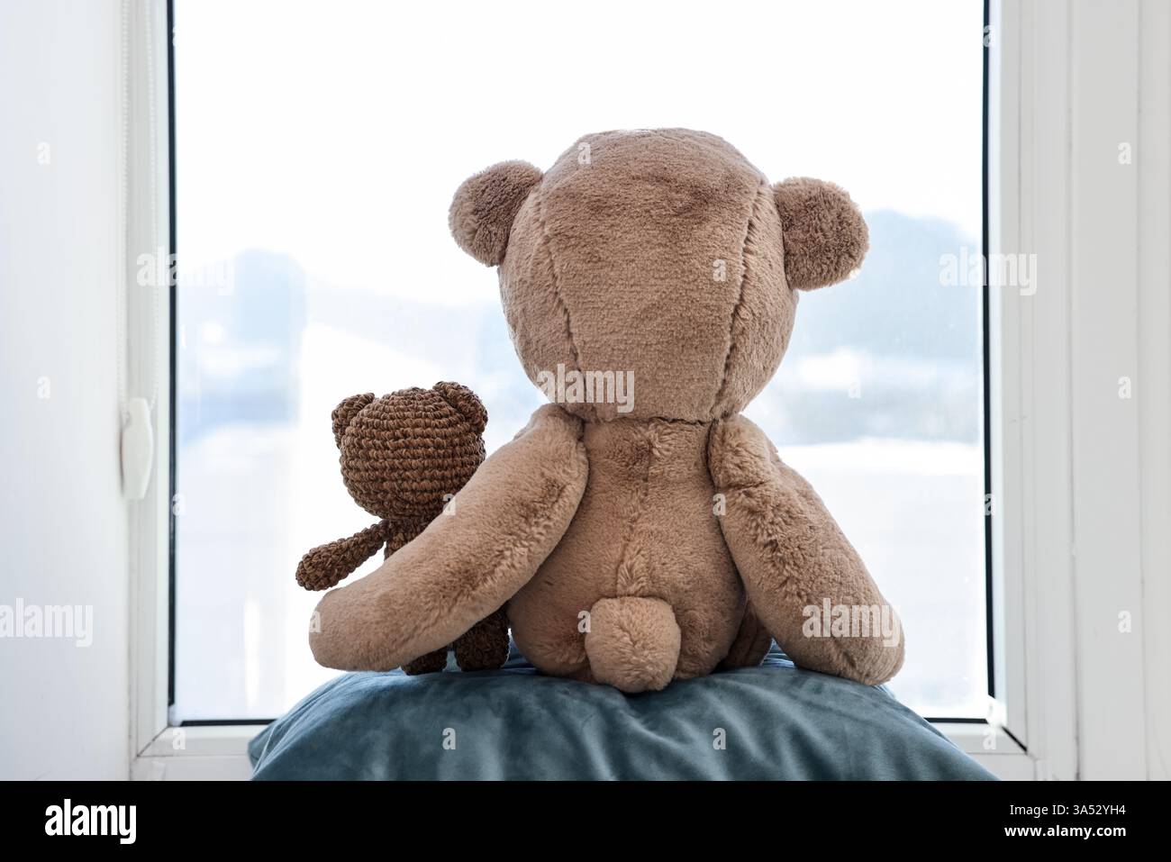 Two cute teddy bears near window indoors, back view Stock Photo - Alamy
