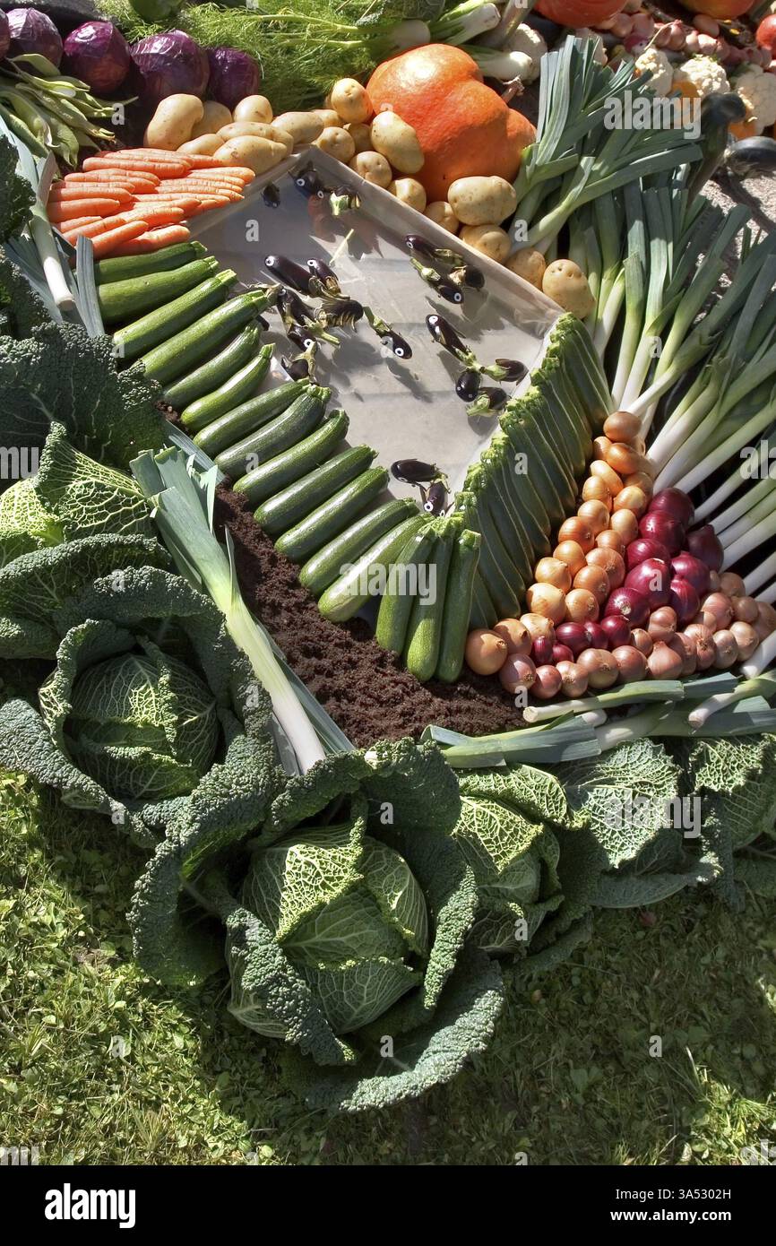 An exhibition of vegetables at rural fair in city Annecy Stock Photo ...