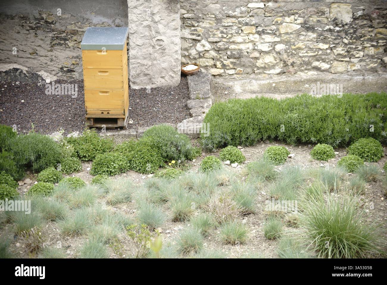 A beehive stands in the middle of a garden area with beds of green ...