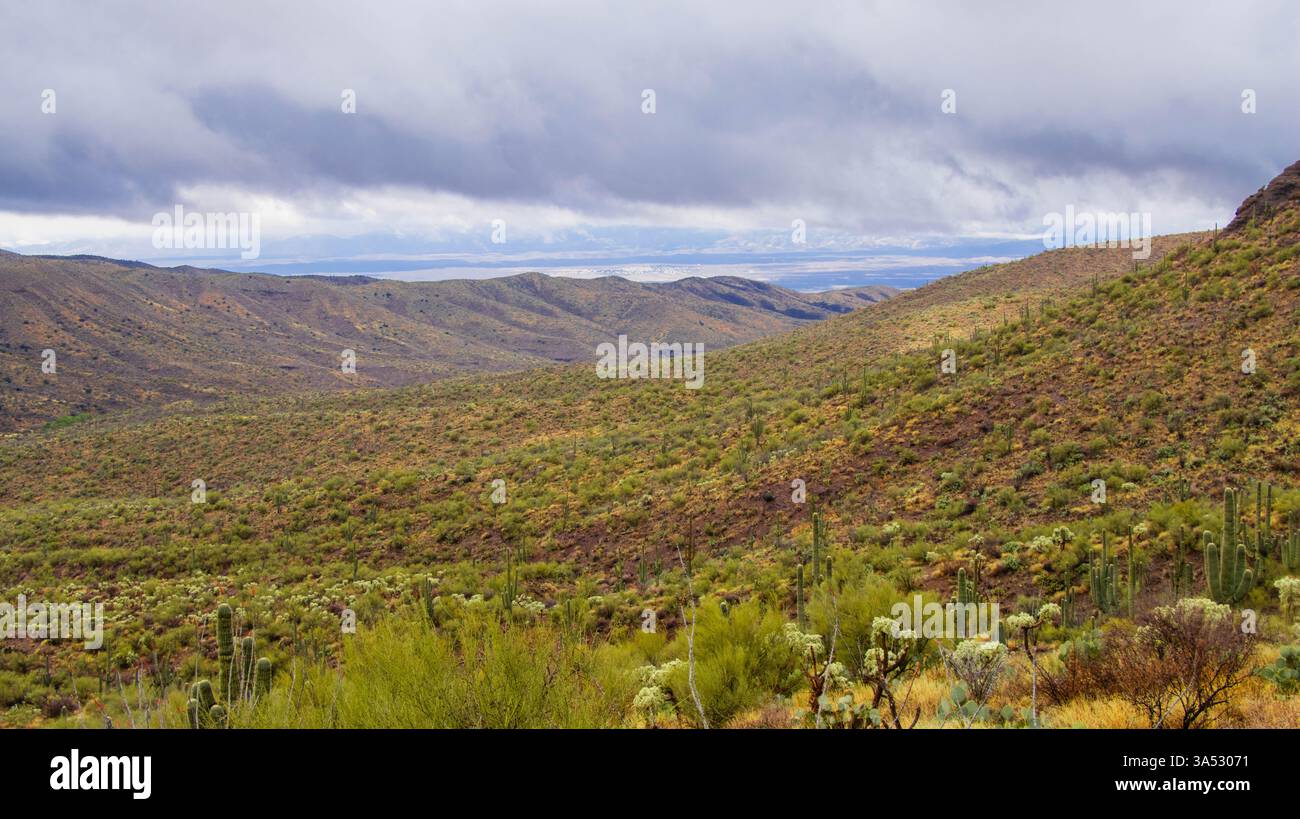 Cloudy Arizona's Sonoran Desert in the Galiuro Mountains, road to ghost ...