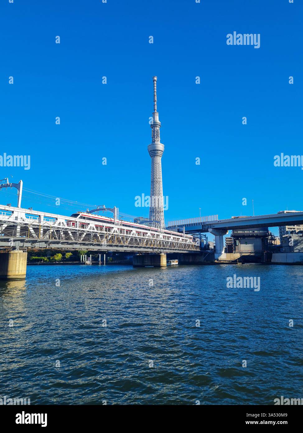 View of the Sumida River with Tokyo Skytree and Sumida River Walk in ...