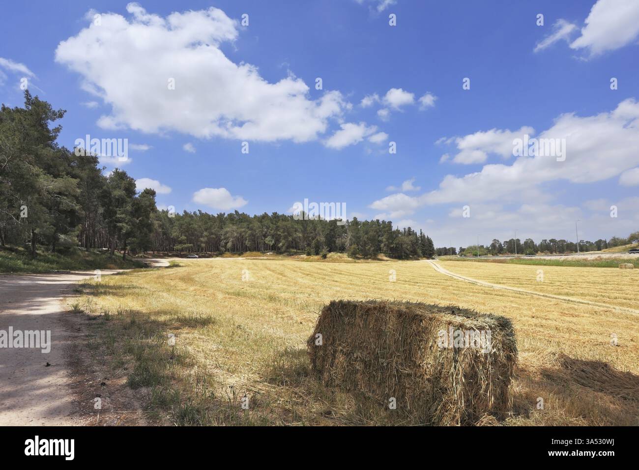 The rural idyll. Wheat field and a stack of wheat at the edge of the ...