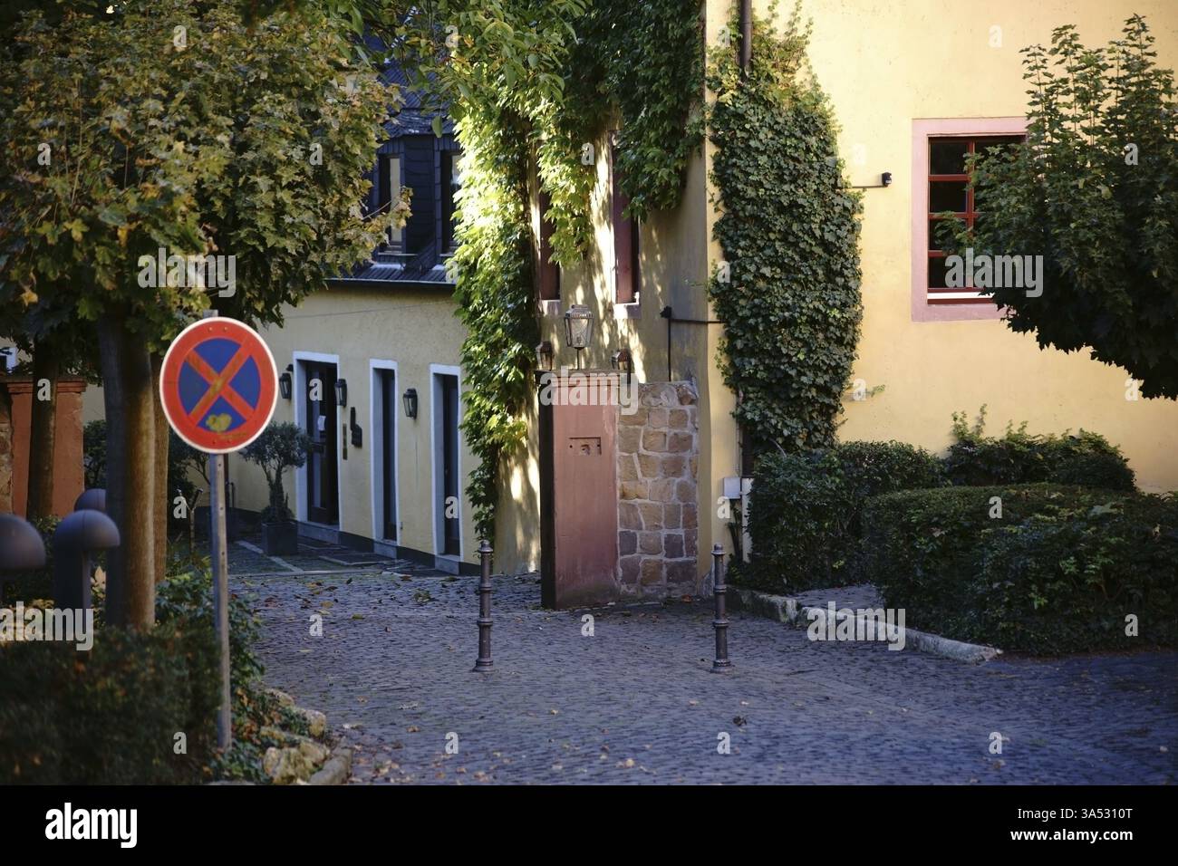 Vines in residential house hi-res stock photography and images - Alamy