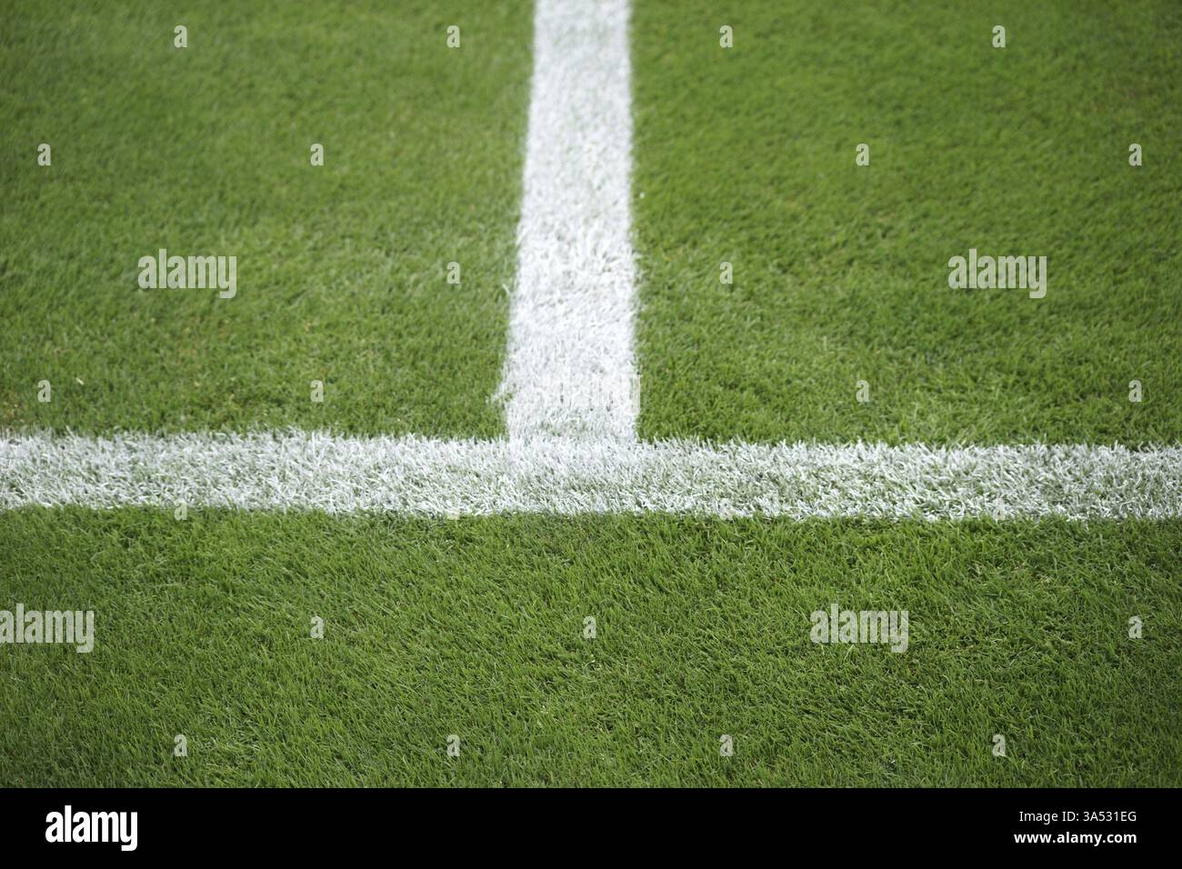 The green turf of a football pitch with the touchline and the centre ...