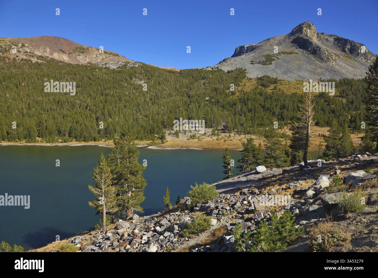 Stony coast of mountain lake Elleri in park Yosemite, the USA Stock ...