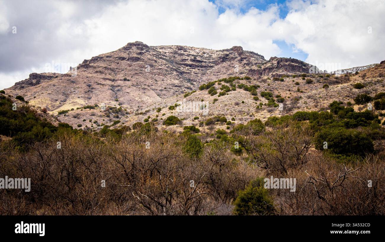 View of Arizona's Galiuro Mountains in the Sonoran Desert near Mammoth ...
