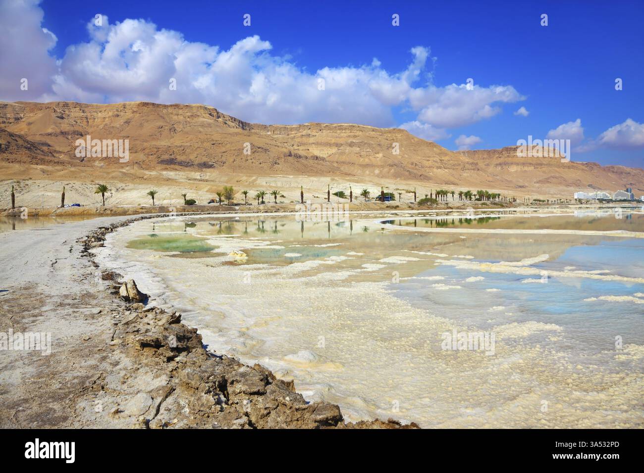 Shores of the Dead Sea in Israel. Path of evaporated salt. Along the shore with palm trees ...