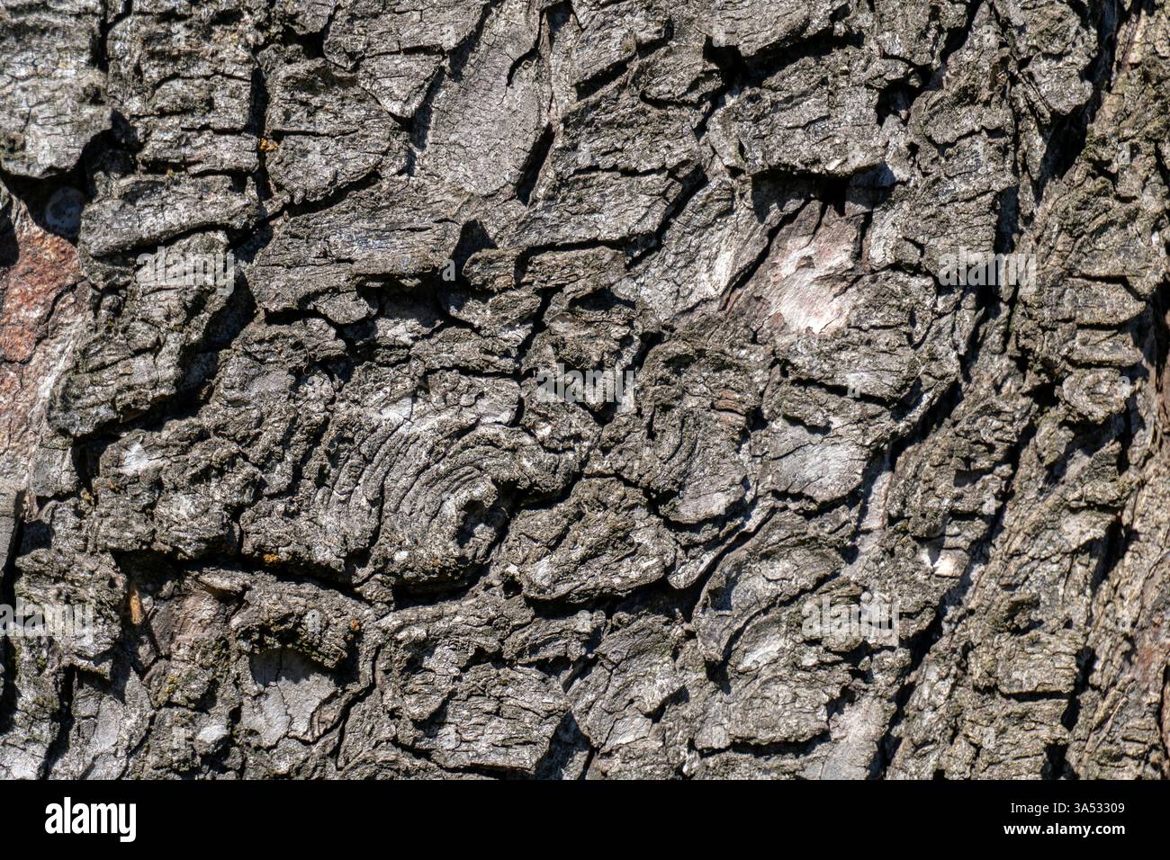 Close up view reveals various hi-res stock photography and images - Alamy