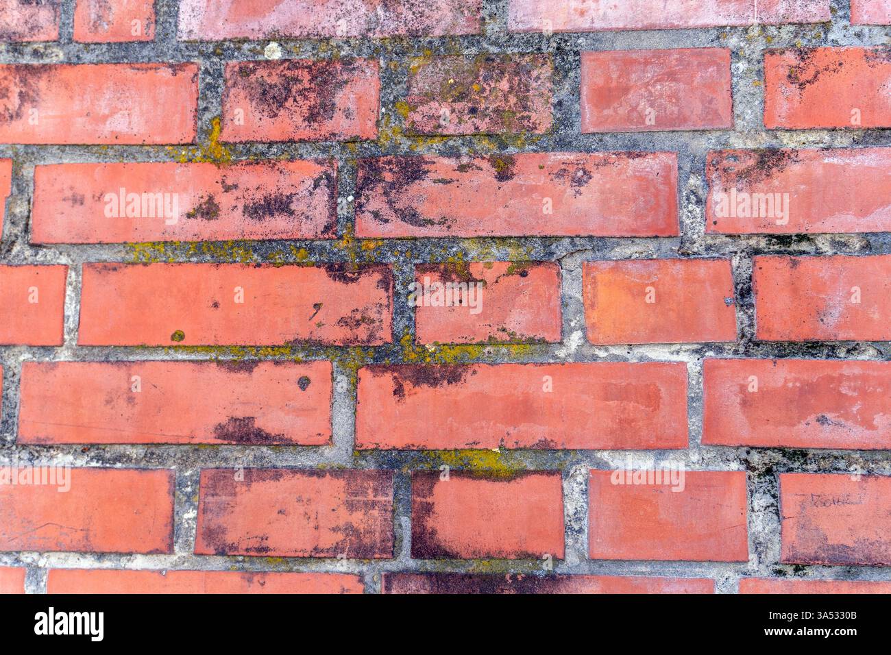 This red brick wall displays a rich texture with moss and grime ...