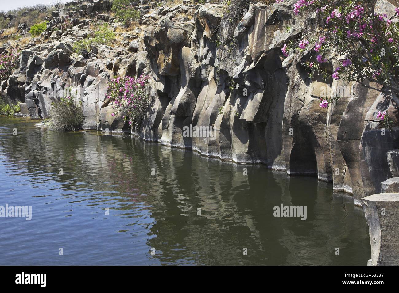 Vertical shot wild mountain hi-res stock photography and images - Alamy
