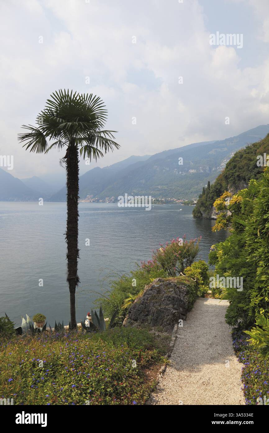 Lake Como in the misty haze. Magnificent tree in park on the shore ...