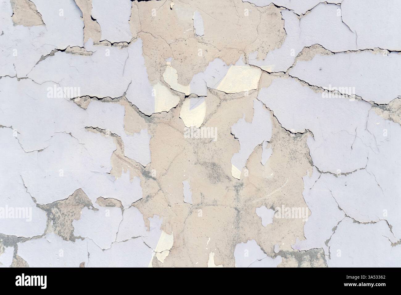 A close-up view of a wall showing significant wear and tear, with large ...