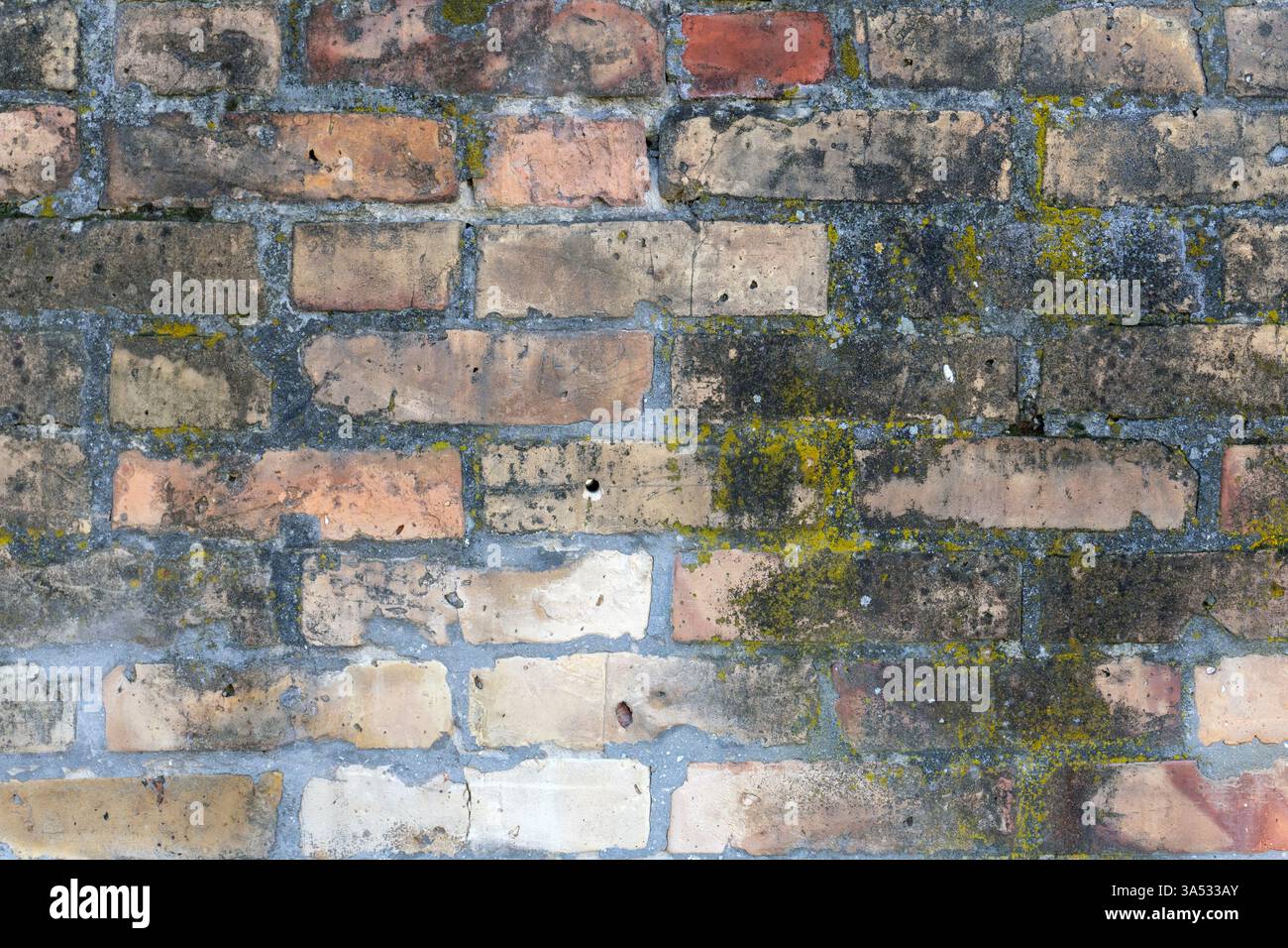 The brick wall features a mix of colors and textures, showing signs of ...