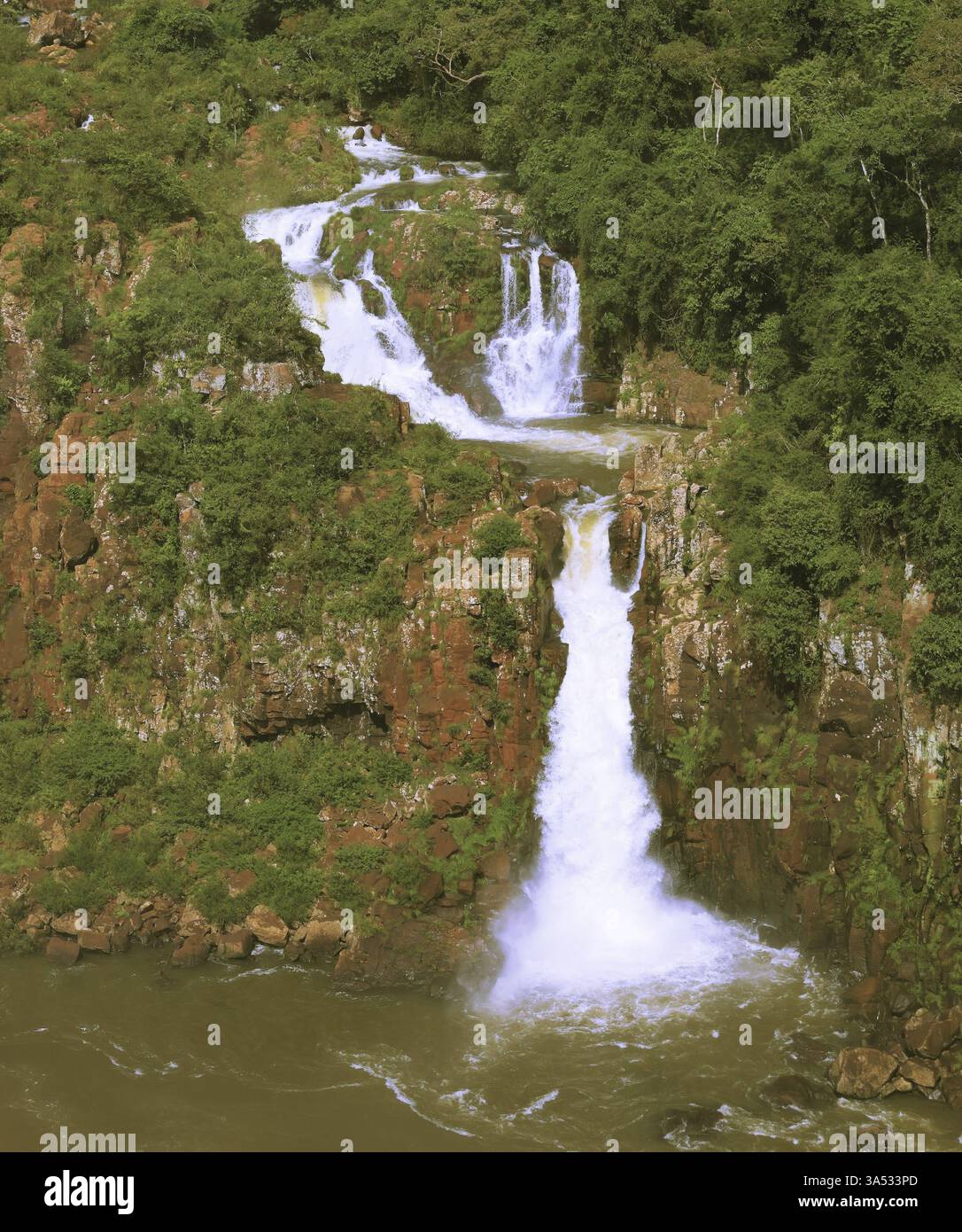 Multi-tiered cascades of water roar of lush jungle. The grand Iguazu ...