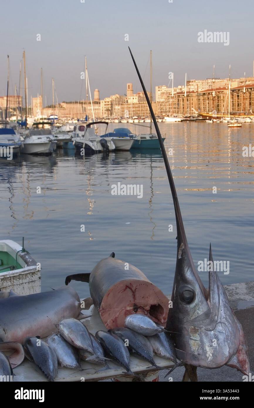 A morning fish market in Marseilles to port Stock Photo - Alamy