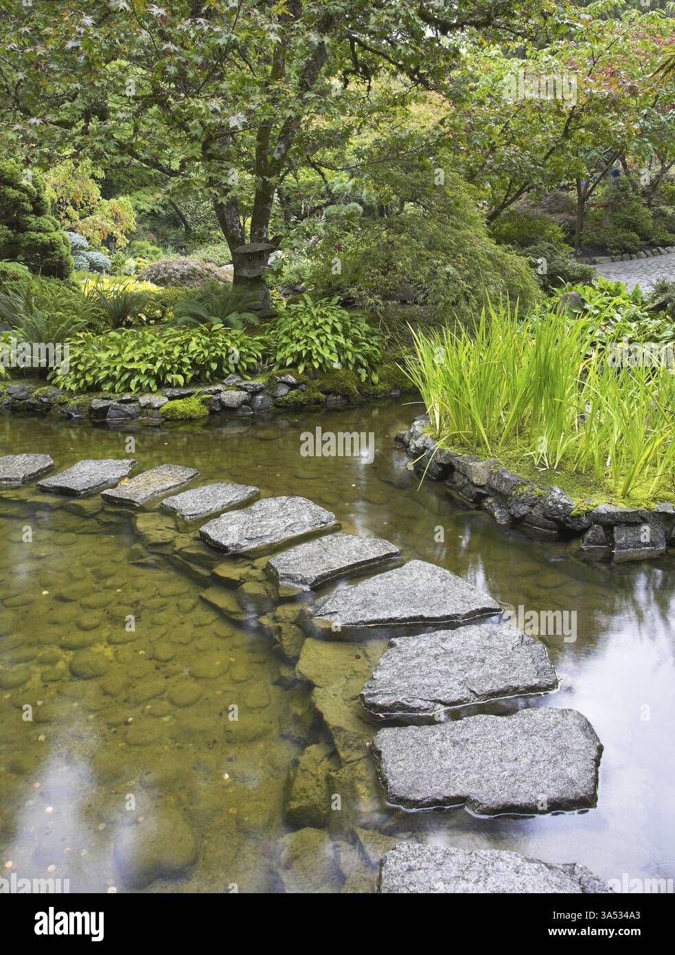 Path from wet stones hi-res stock photography and images - Alamy