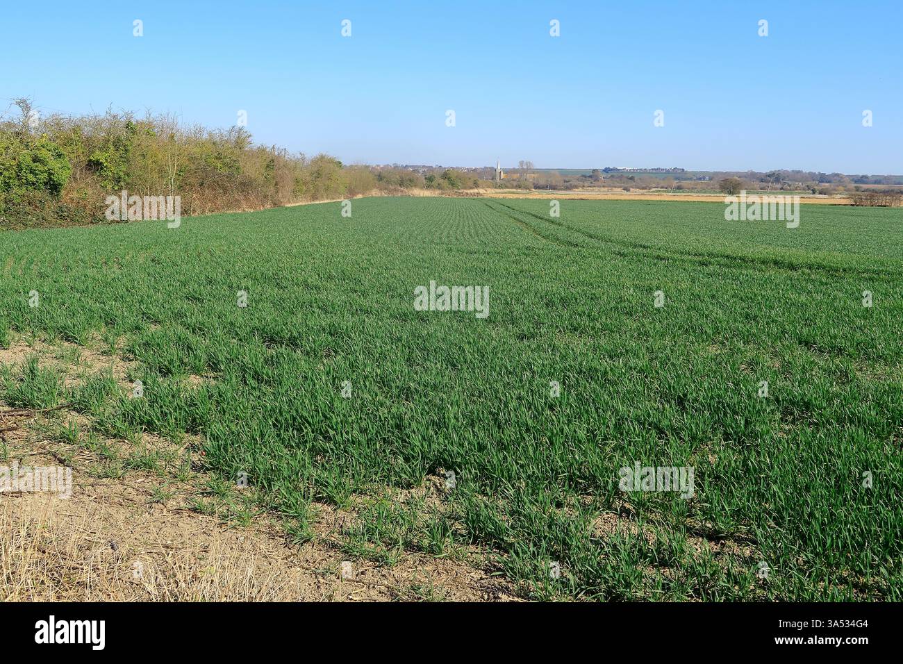 A beautiful Green landscape scene in the South Kent Region of Minster ...