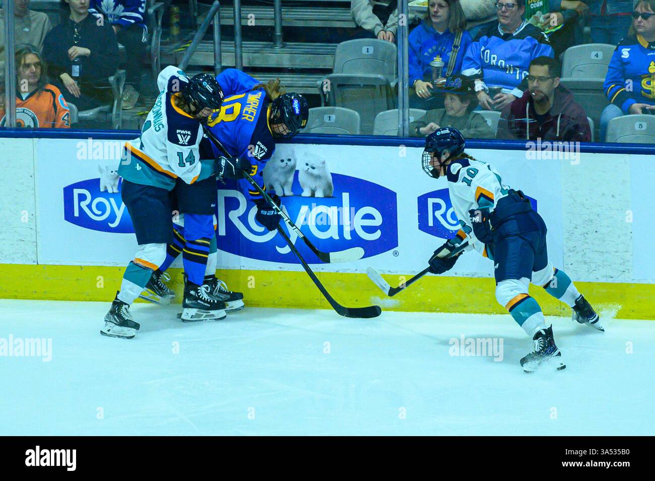 Jaime bourbonnais hi-res stock photography and images - Alamy