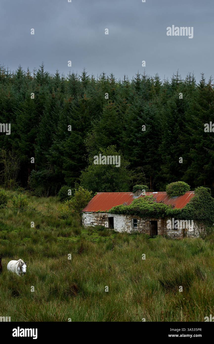 Old stone small barn or farm house in rural countryside surrounded by ...