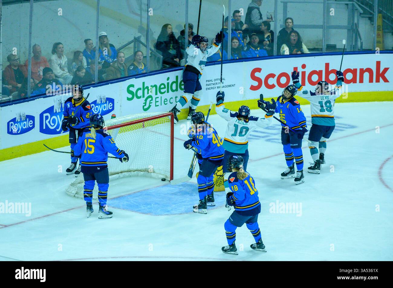 Toronto, ON, Canada – March 19, 2025: #25 Alex Carpenter forward of New ...