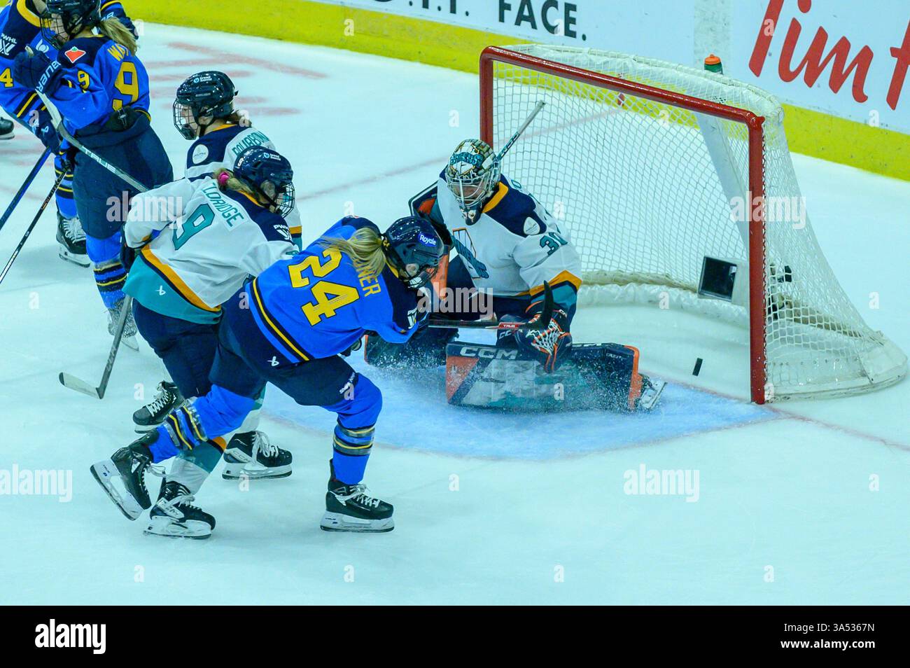 Toronto, ON, Canada – March 19, 2025: #24 Natalie Spooner forward of ...