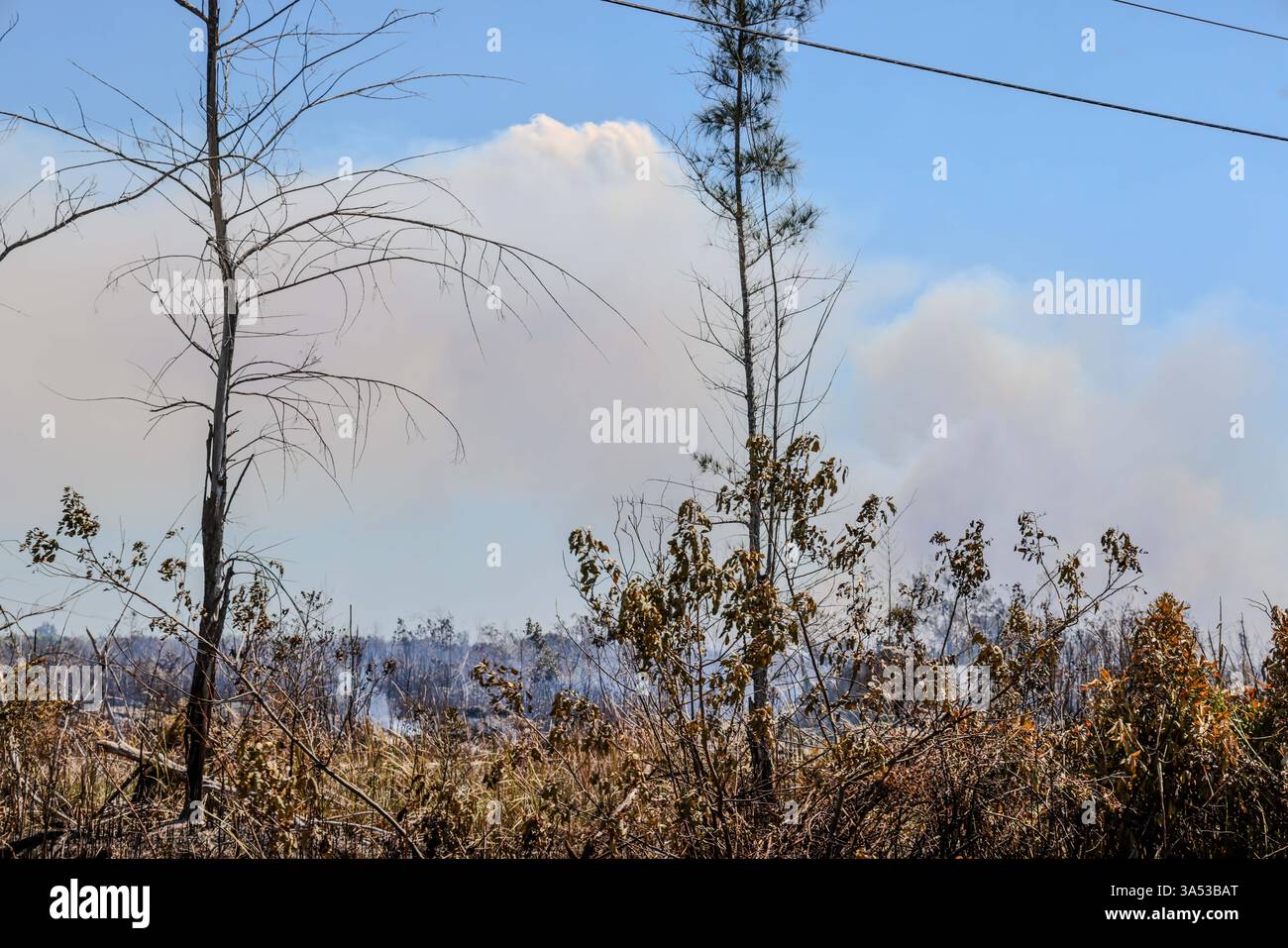 March 20, 2025, Florida City, Fl, USA: A massive brush fire in the ...