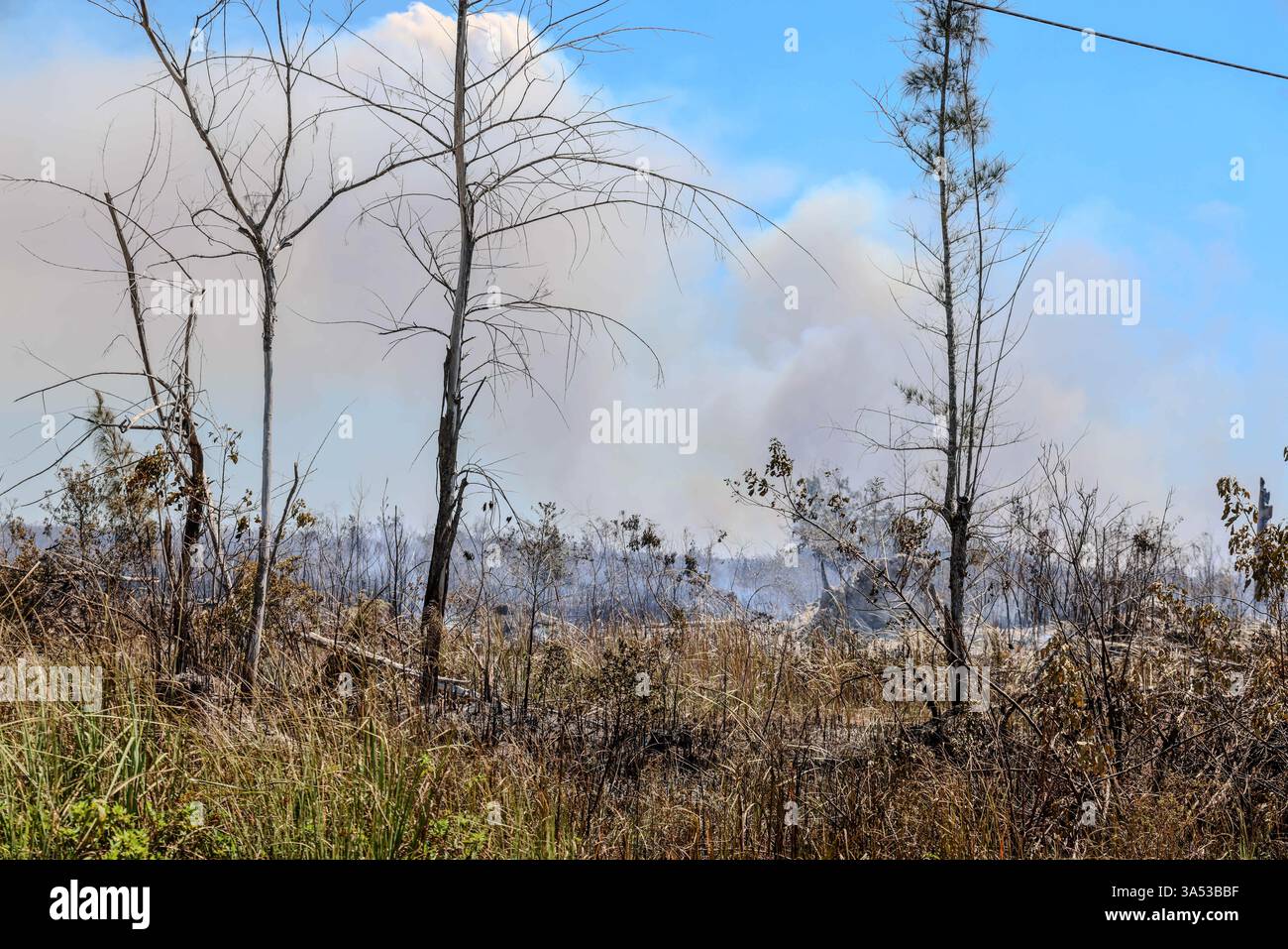 Florida City, Fl, USA. 20th Mar, 2025. A massive brush fire in the ...
