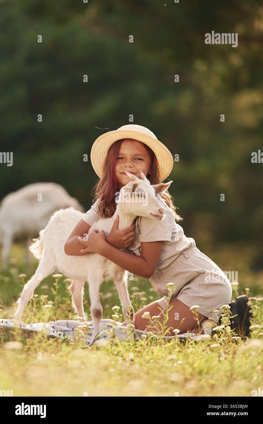 Embracing the animal. Little girl is on the field with goats Stock ...