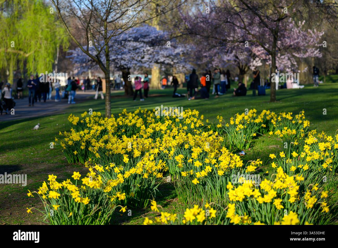 London, UK, 20th March 2025, Spring Equinox and spring weather duly ...