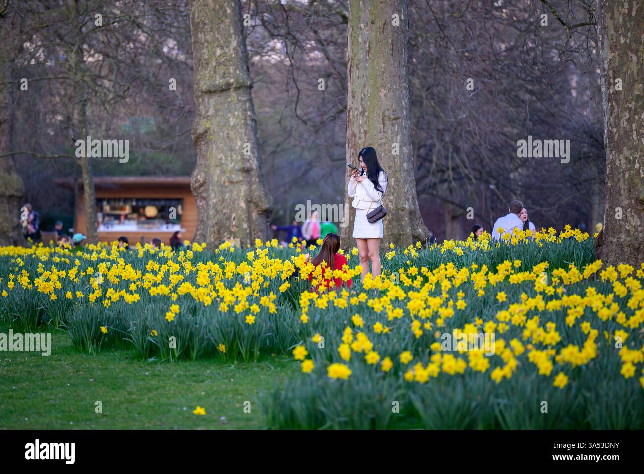 London, UK, 20th March 2025, Spring Equinox and spring weather duly ...
