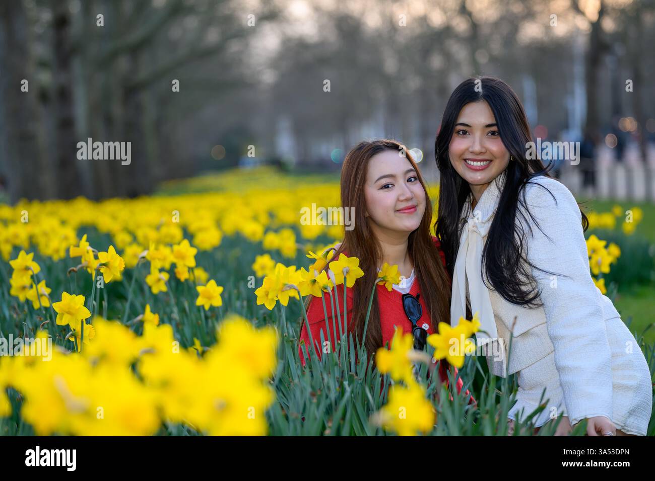 London, UK, 20th March 2025, Spring Equinox and spring weather duly ...