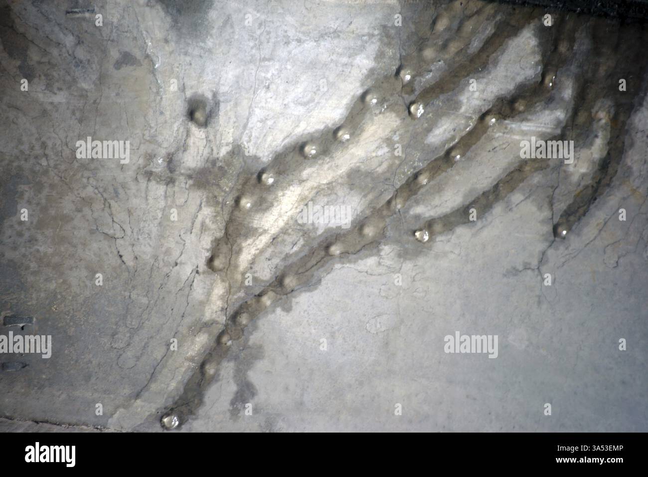 Water droplets on a concrete ceiling interspersed with moisture Stock ...