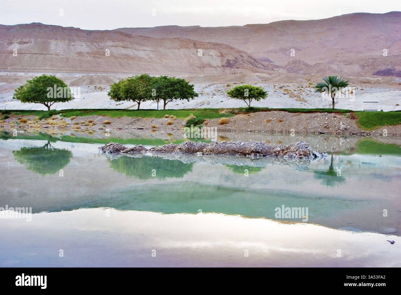 Dead sea activities hi-res stock photography and images - Alamy